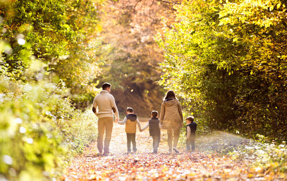 Spring's Whisper: A Gentle Journey Through Nature with Your Little One ...