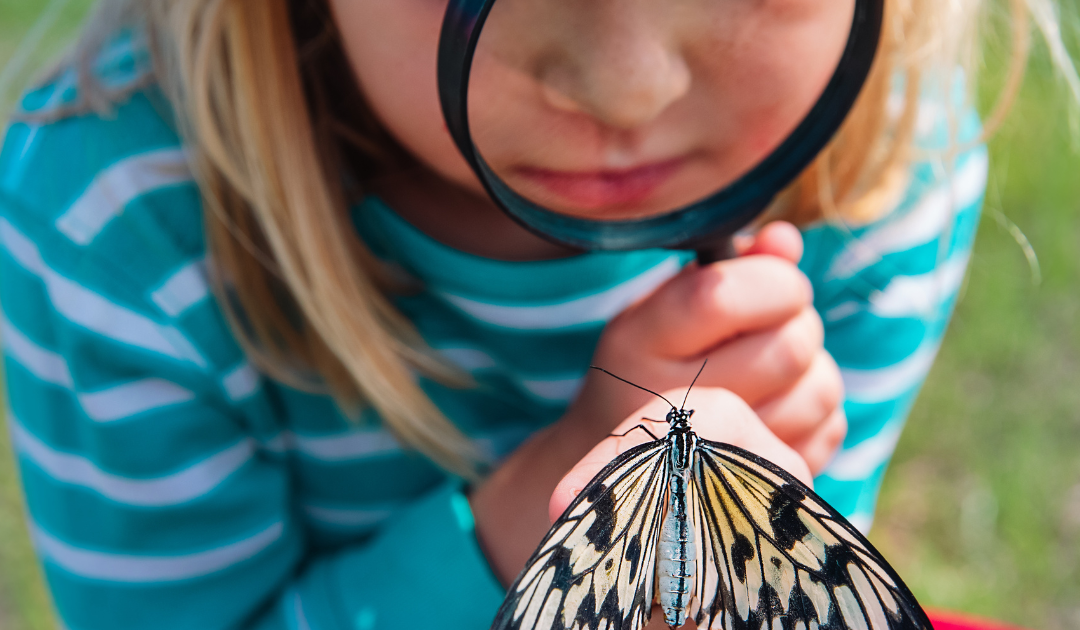Bugging Out: Teaching Preschoolers About Spring Insects - Greatwood