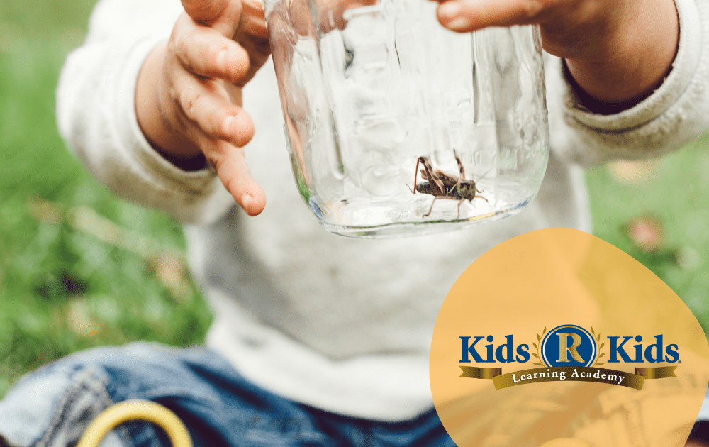 How to Teach Kids about Bugs - Legacy West