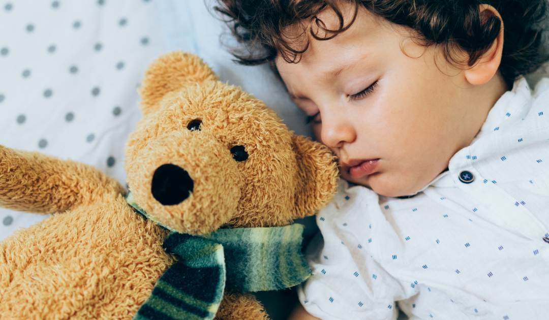 Winter Wildlife: A Preschooler’s Guide to Animal Hibernation and ...