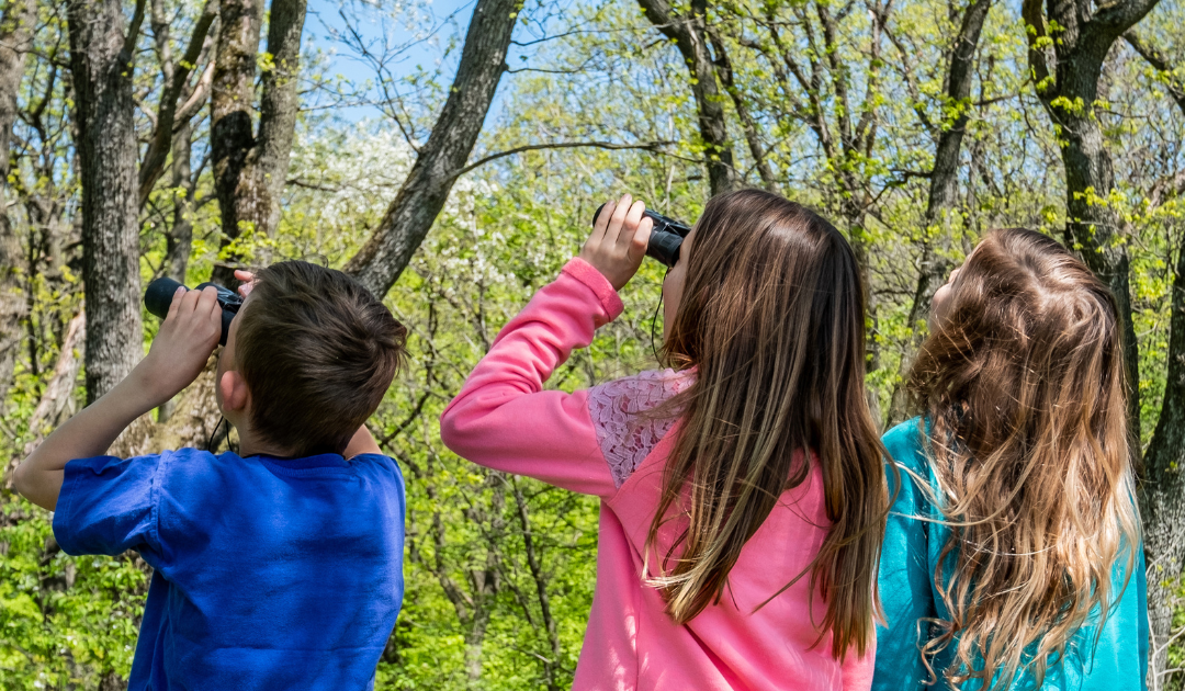 Birdwatching for Beginners: Teaching Preschoolers All About Spring ...