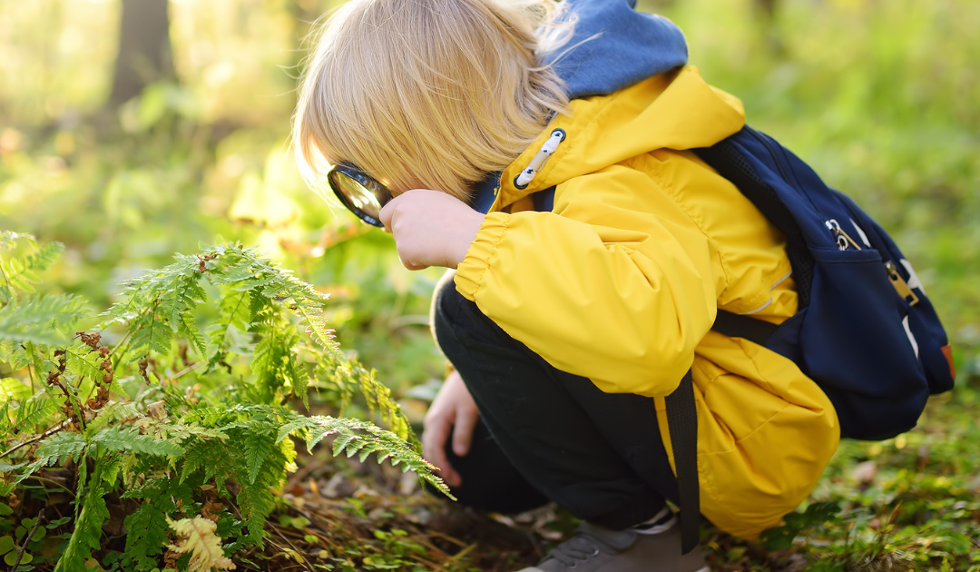 Springtime Learning in Nature: Exploring Colors and Shapes with ...