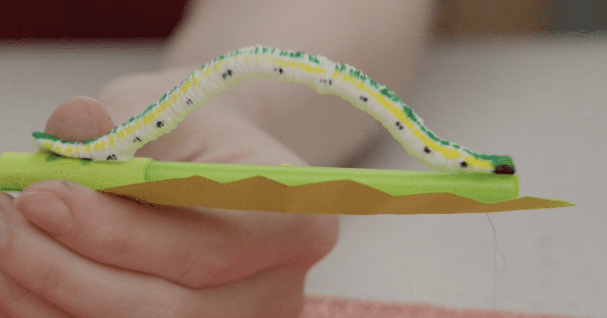 Moving Caterpillar - Kids 'R' Kids